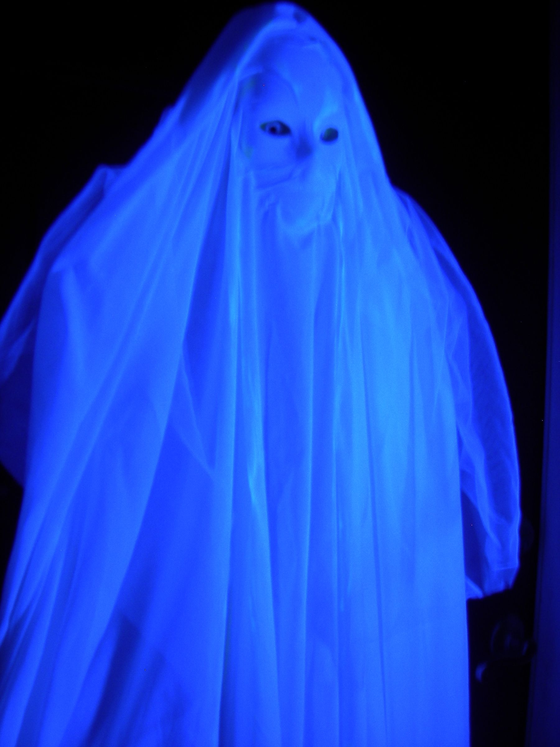 Tracking Ghost Door Decor (super Easy) : 3 Steps (with Pictures ...