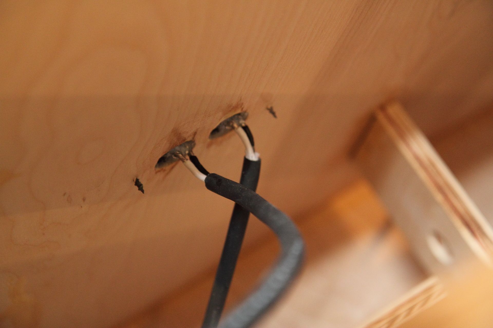 Build an Infrasonic Subwoofer : 10 Steps (with Pictures) - Instructables