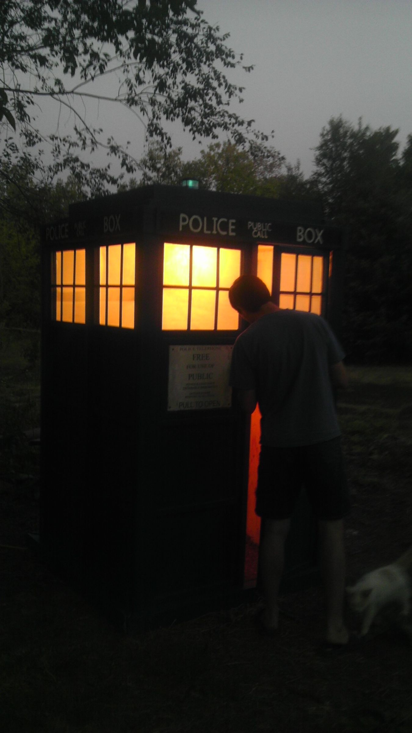 (Almost) Life Size Tardis : 7 Steps (with Pictures) - Instructables