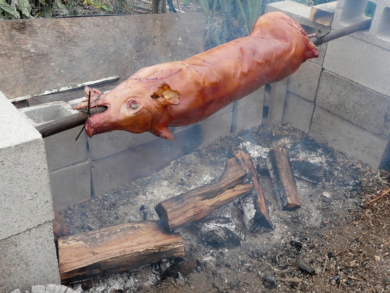 How to Roast a Pig : 20 Steps (with Pictures) - Instructables