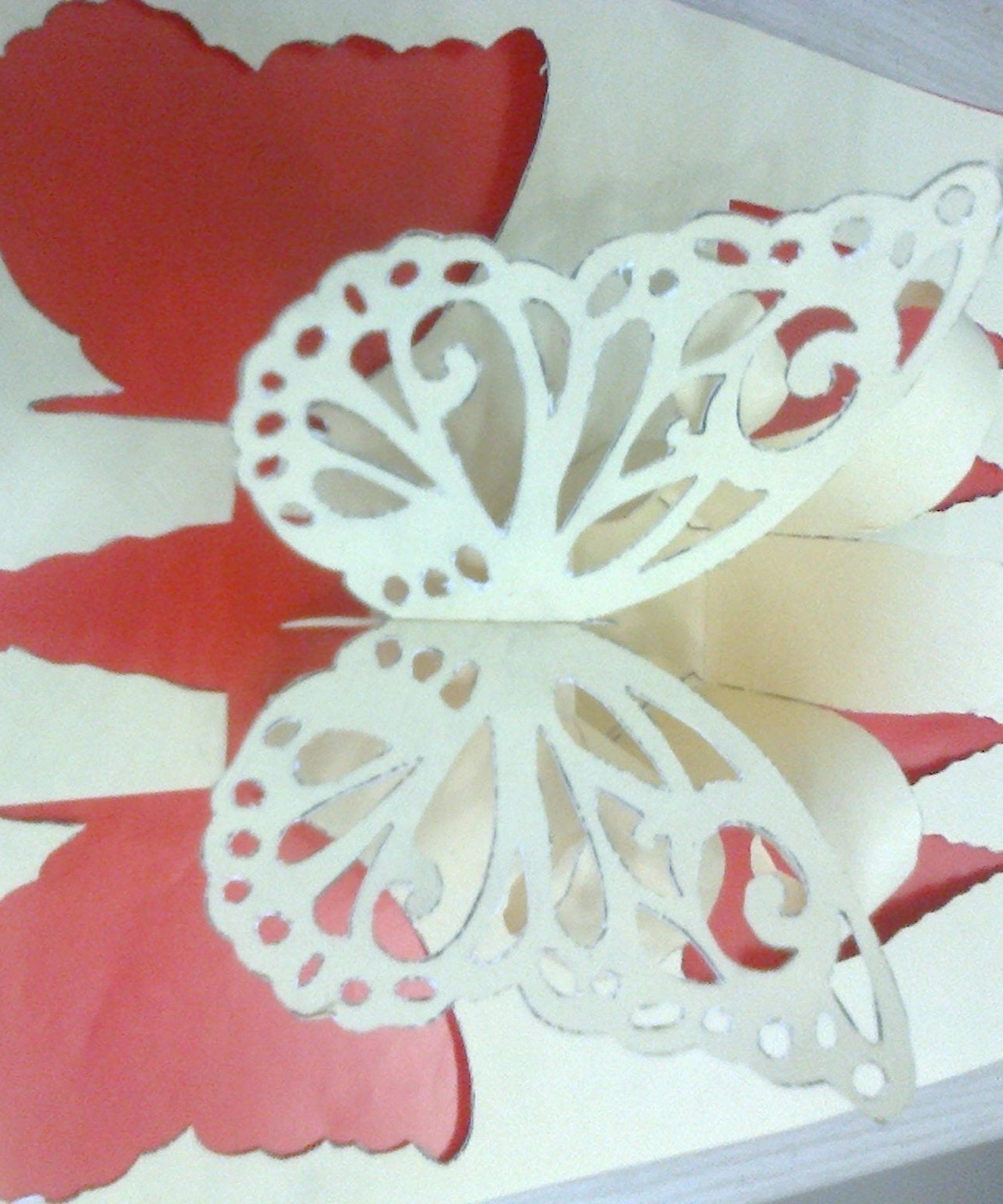 Simple But Amazing One Piece Paper Art 5 Steps Instructables simple-but-amazing-one-piece-paper-art-5-steps-instructables