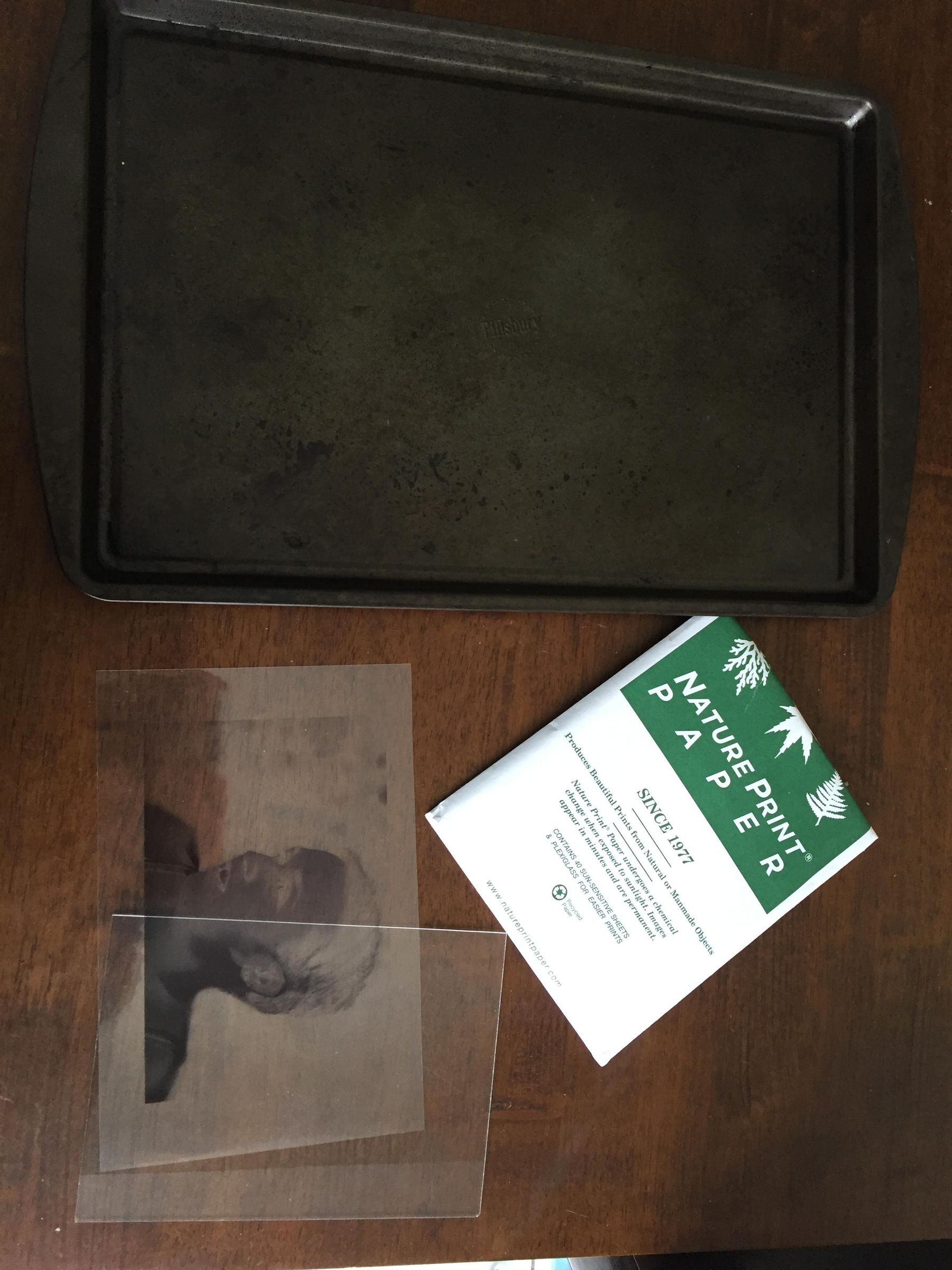 Inkjet Transparency Sheet Cyanotypes : 3 Steps - Instructables