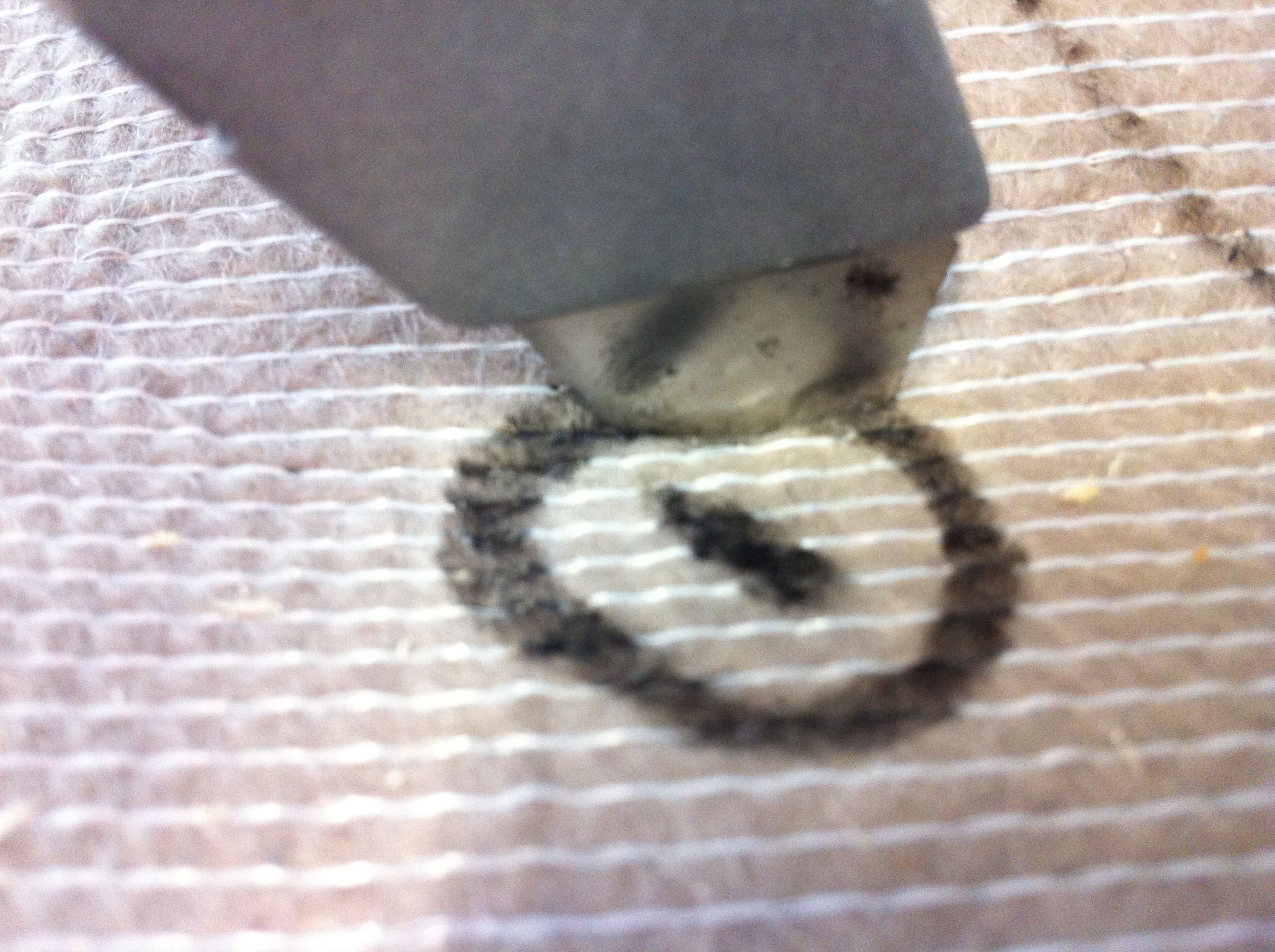 Magnetic Cat Toy : 6 Steps (with Pictures) - Instructables