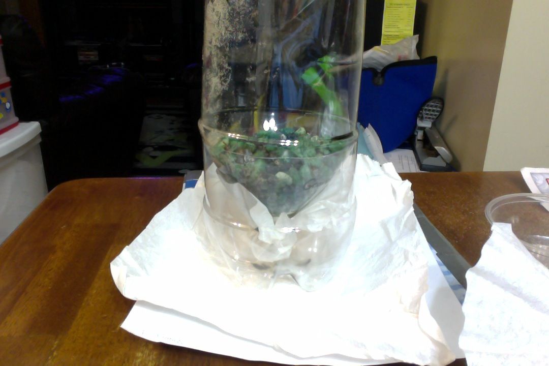 Homemade Water Filter : 13 Steps - Instructables