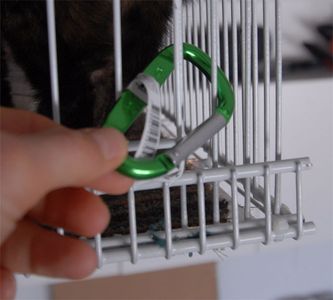 Cat Enclosure - Tunnel, Save Space ('CatWalk Is My Road' - AKahn ...