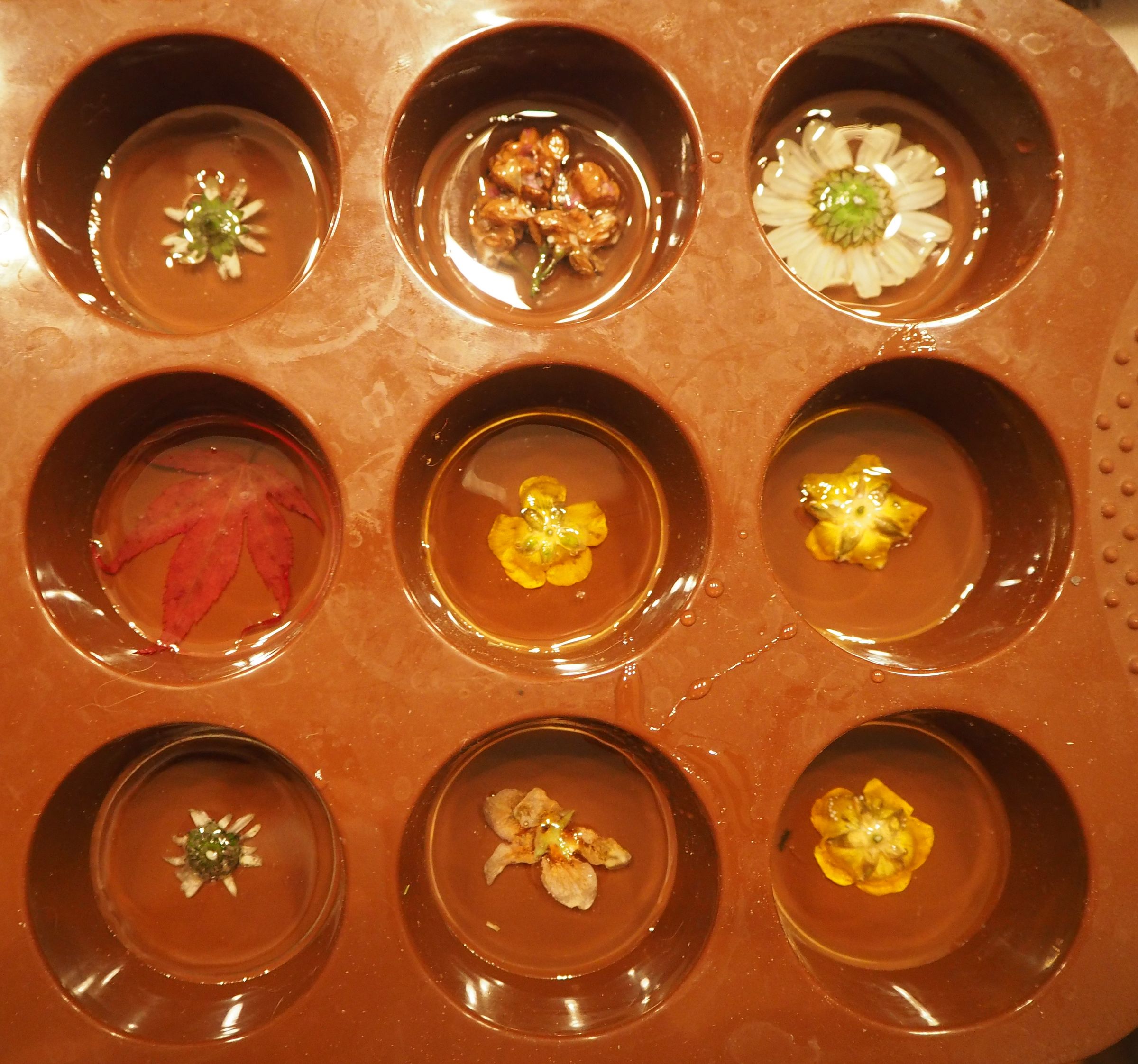 Techniques to Embed Flowers in Resin : 12 Steps (with Pictures ...