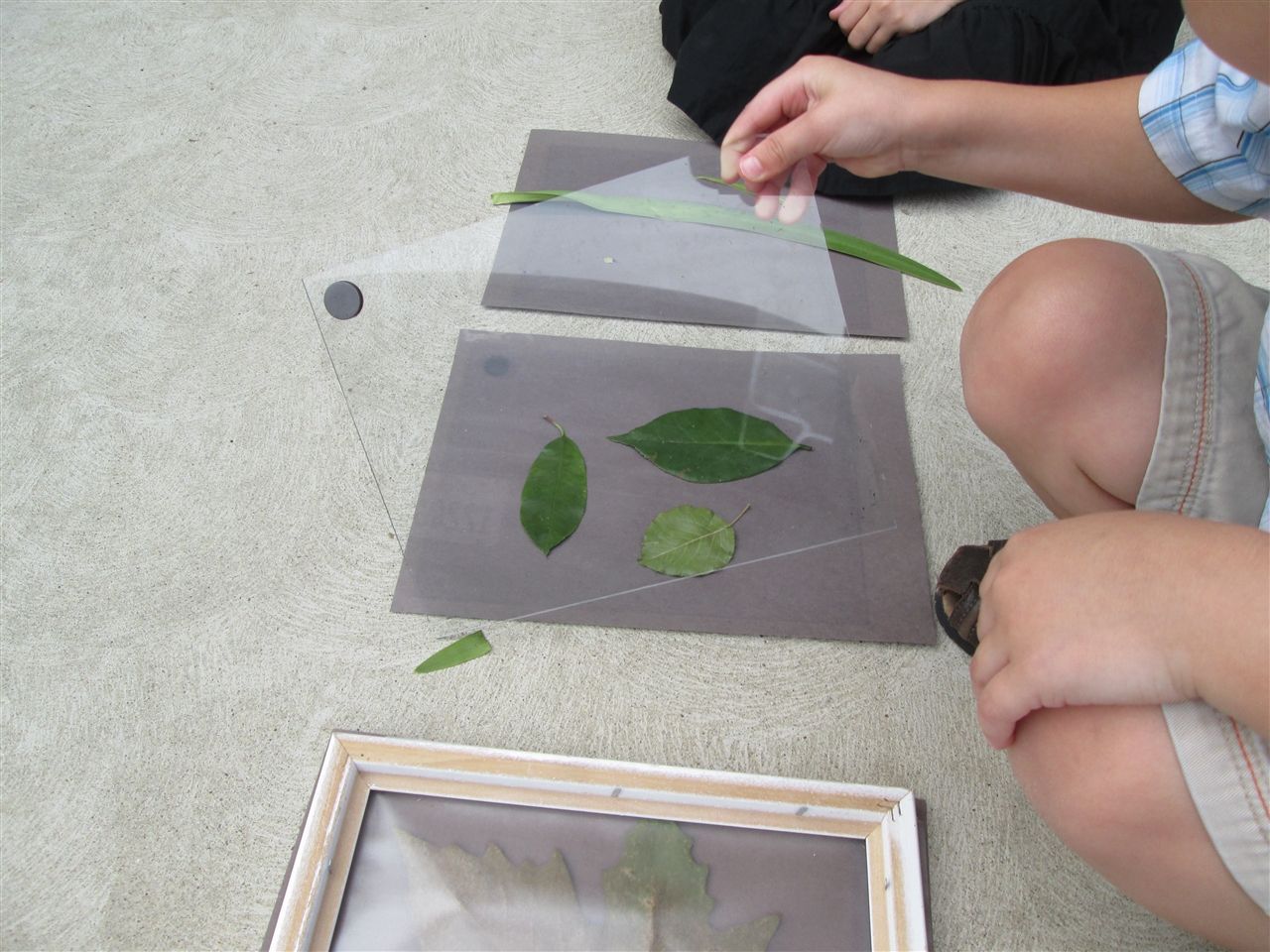 DIY Construction Paper Solar Prints : 6 Steps (with Pictures ...
