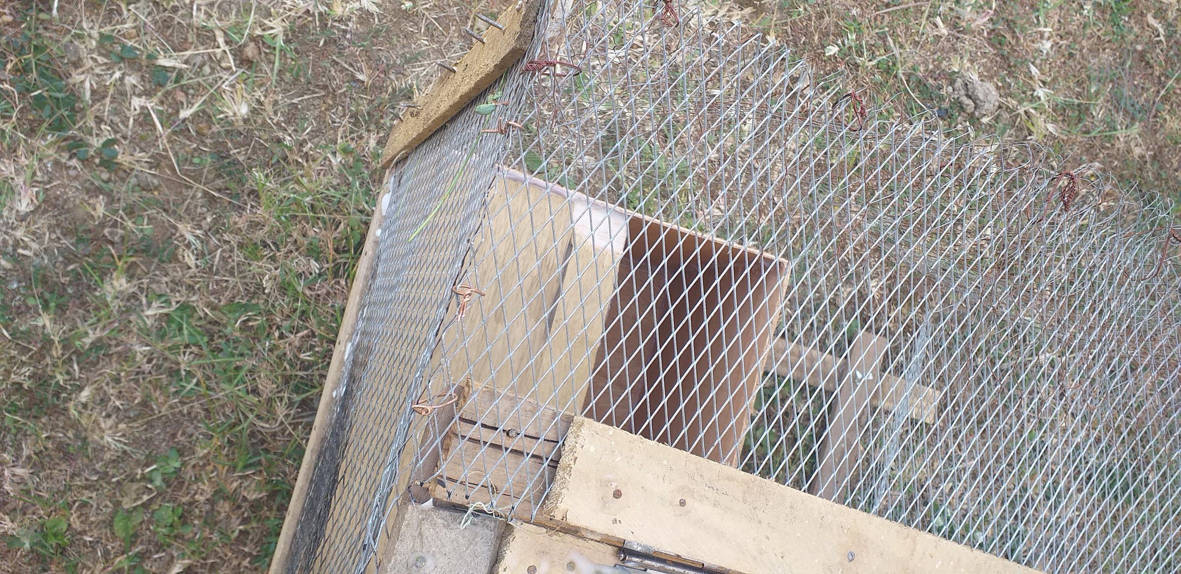 Pigeon House : 8 Steps (with Pictures) - Instructables