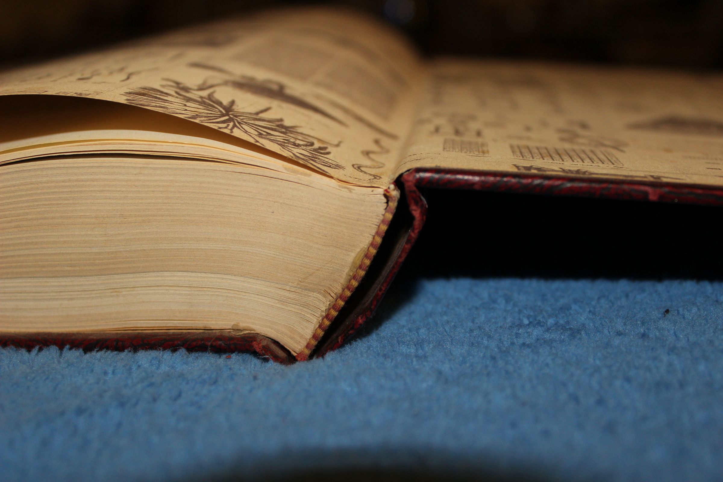 Unbind a Hardcover Book : 4 Steps - Instructables