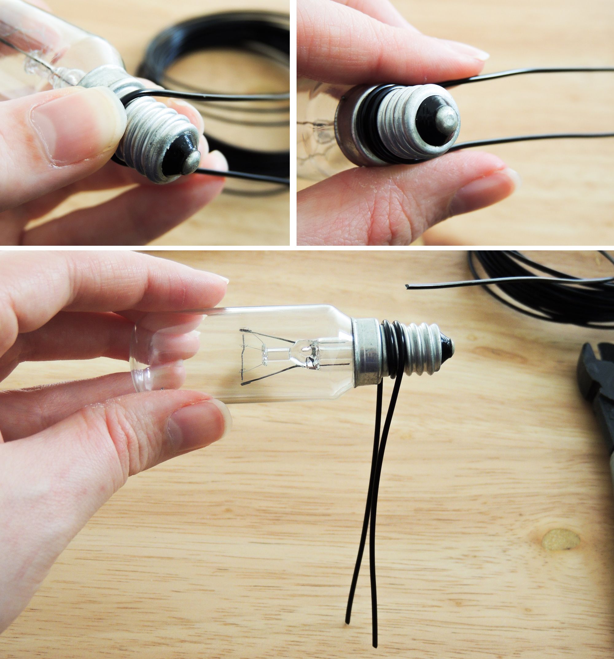 DIY Light Bulb Bugs : 6 Steps (with Pictures) - Instructables