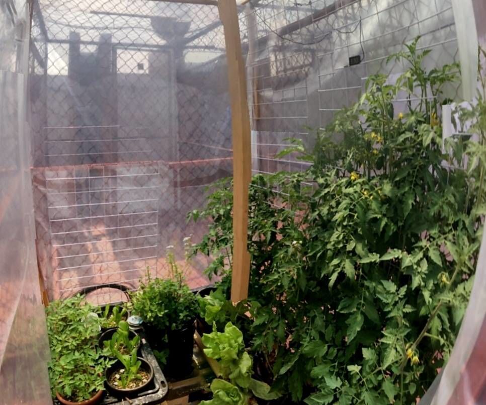 DIY Rooftop Urban Greenhouse : 8 Steps (with Pictures) - Instructables
