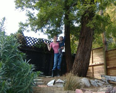 Pirate Ship Tree House : 8 Steps (with Pictures) - Instructables