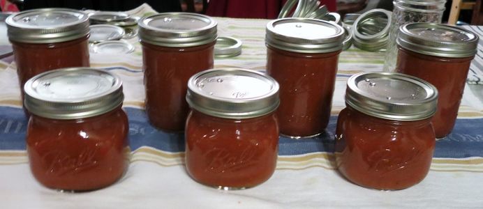 Canning Restaurant Style Salsa : 3 Steps (with Pictures) - Instructables