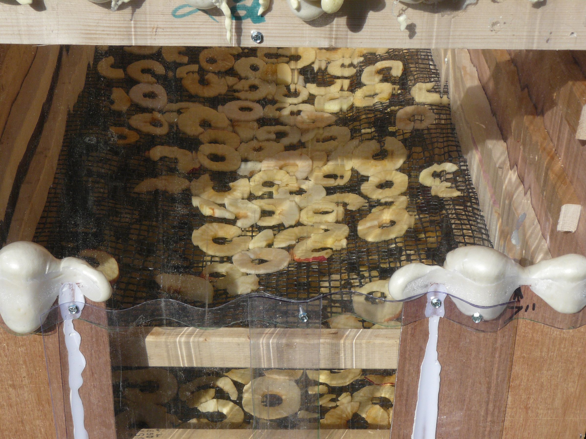 Apple Drying Rack Tower : 18 Steps (with Pictures) - Instructables