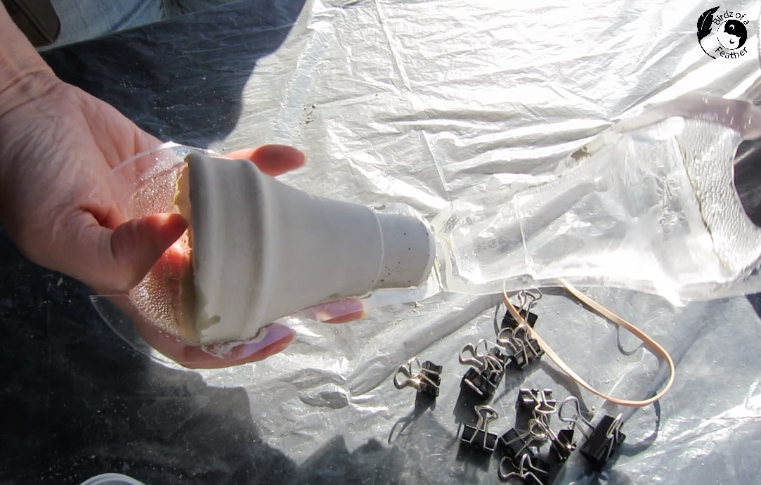 How to Make a Lightbulb Planter From Plastic Packaging! : 9 Steps (with ...