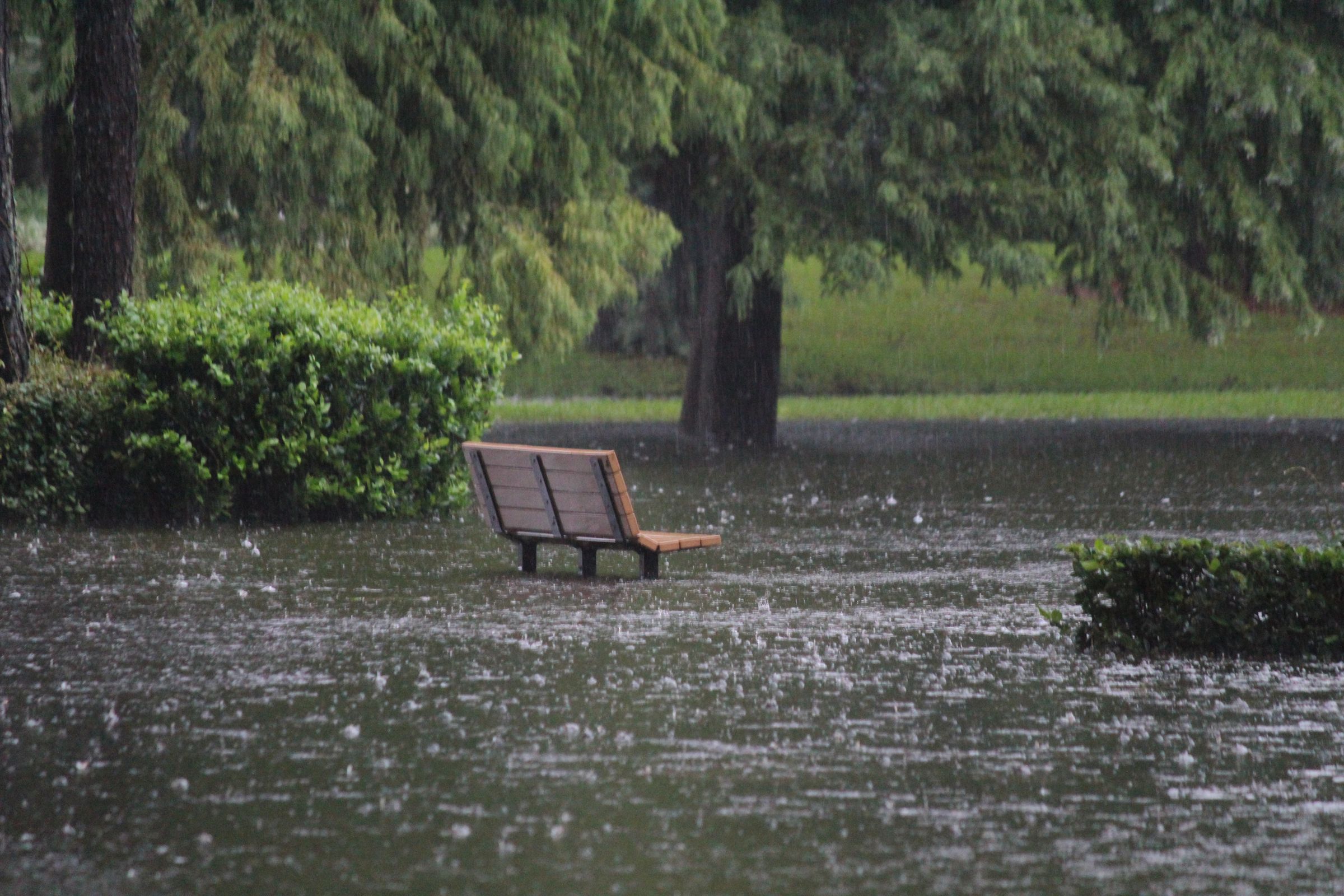 Photos for a Rainy Day: Inclement Weather Photography : 6 Steps (with ...