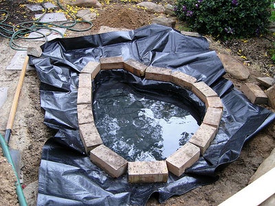 How to Build a Fish Pond or Garden Pond : 6 Steps (with Pictures ...
