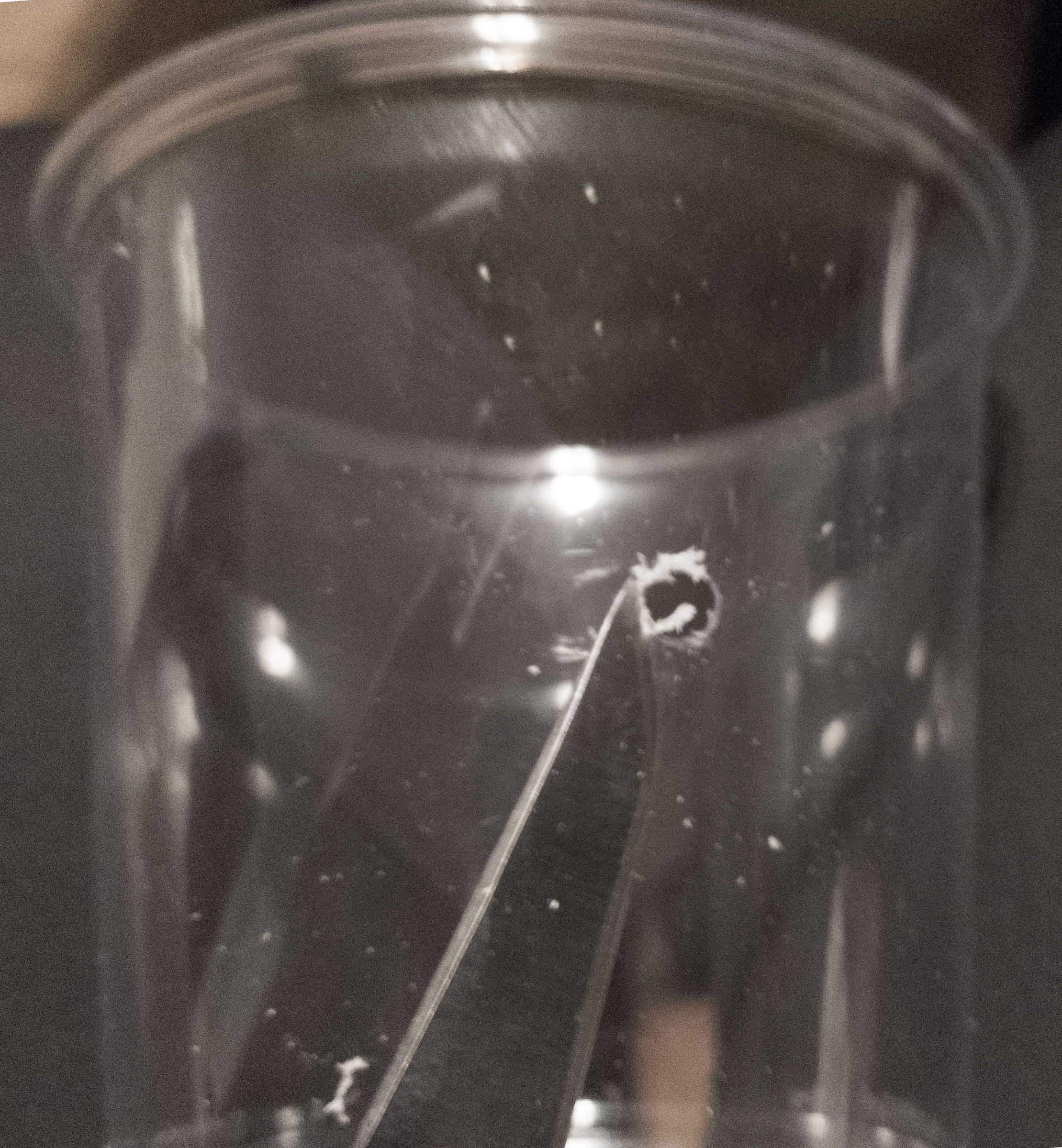 Perfect Praying Mantis Cups : 9 Steps (with Pictures) - Instructables