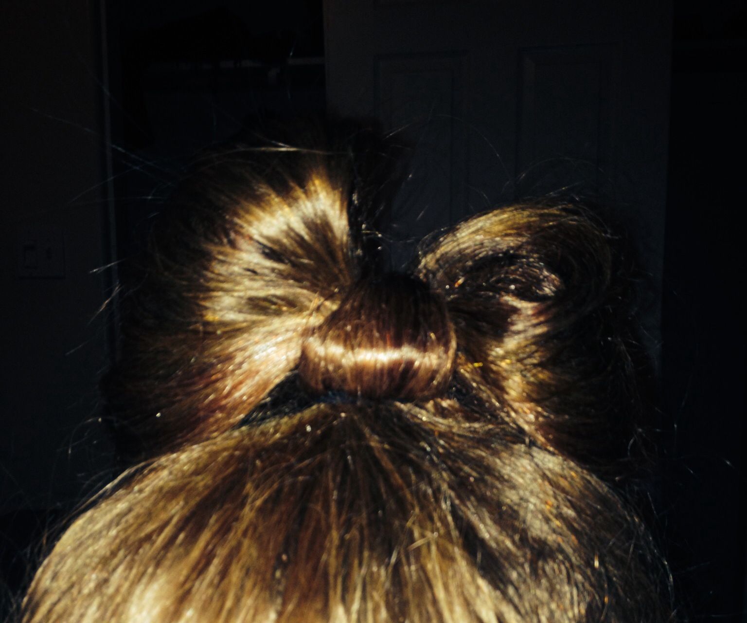 How to Do the Bow Bun : 6 Steps - Instructables