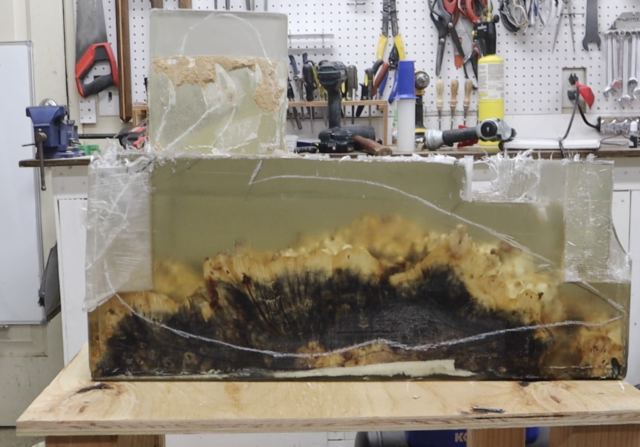 Carving a Swan From Epoxy and Buckeye Burl : 9 Steps (with Pictures ...