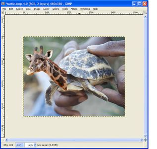 How to Morph Animals Using GIMP (free Software) : 5 Steps - Instructables