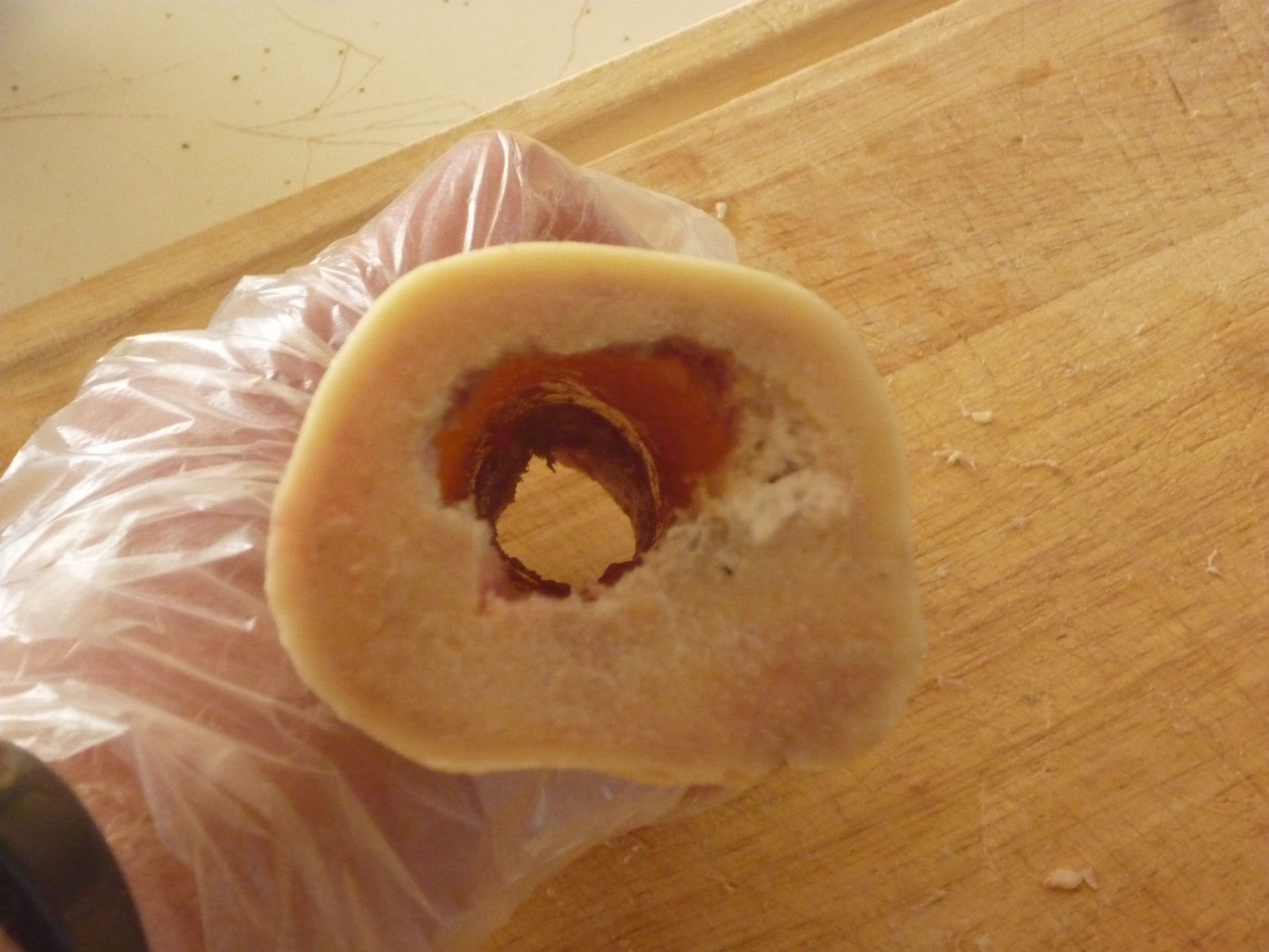 Prepare Bone for Carving : 8 Steps - Instructables