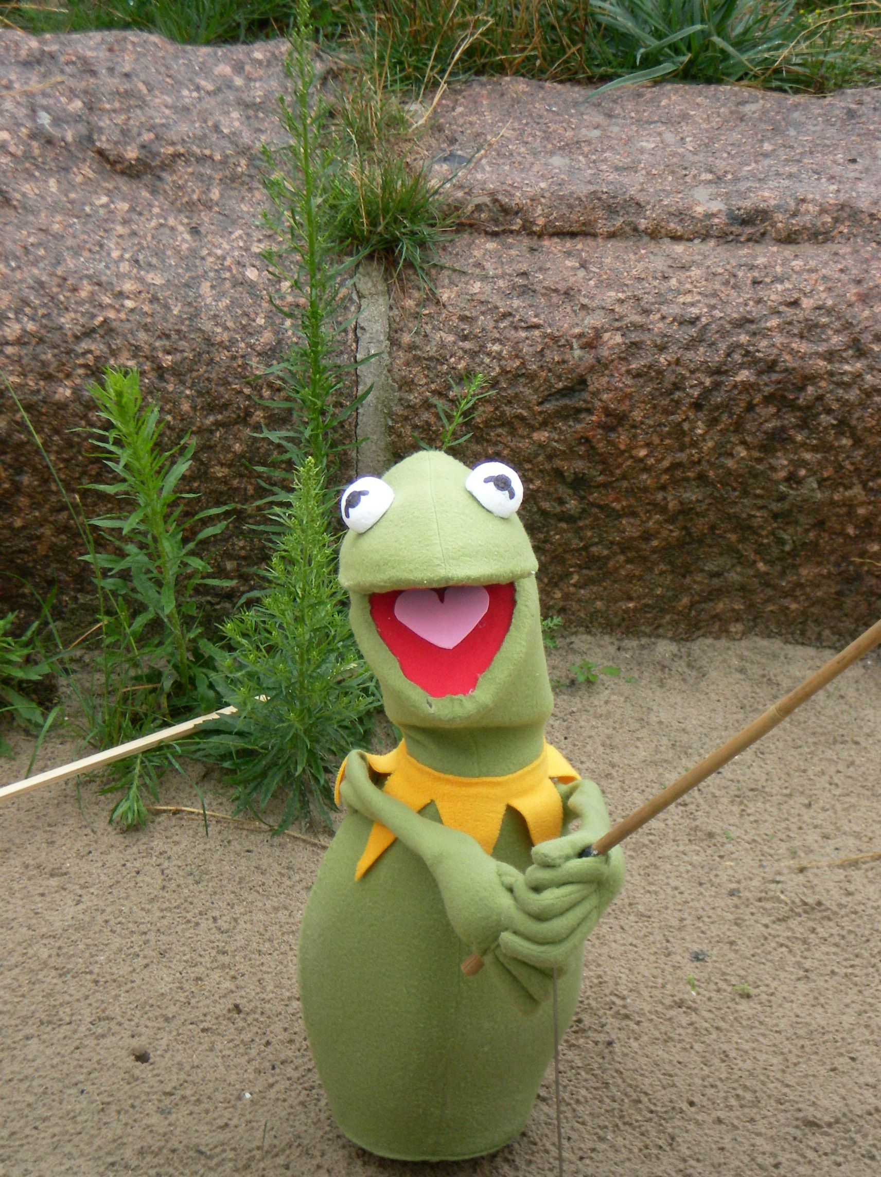 Kermit the Frog Clone : 10 Steps (with Pictures) - Instructables