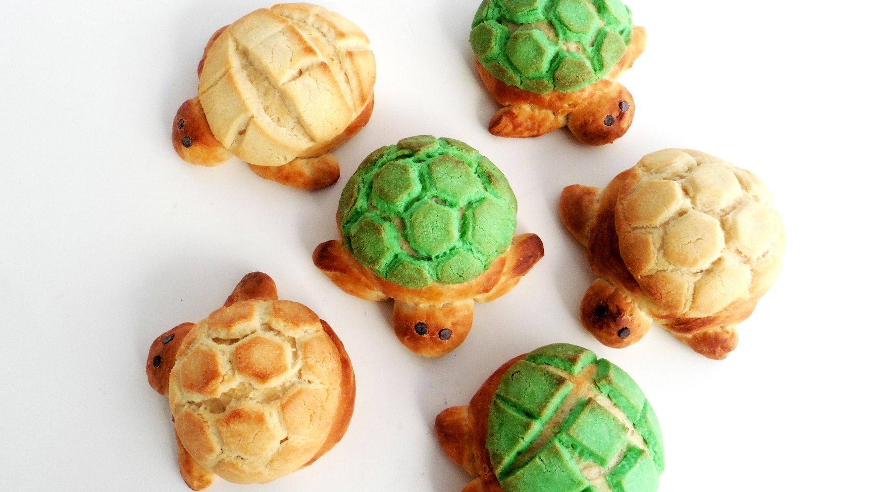 Turtle Bread: Tortuga Conchas : 6 Steps (with Pictures) - Instructables