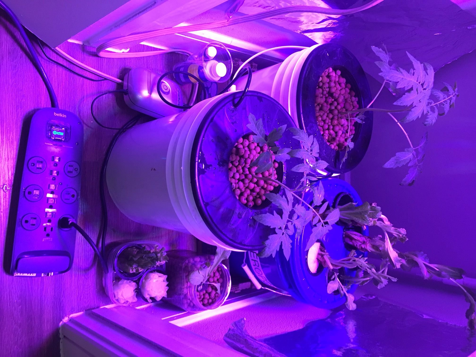 Lettuce for Life - Arduino 101 Based Automated Controller for Hydroponics, Aeroponics ...