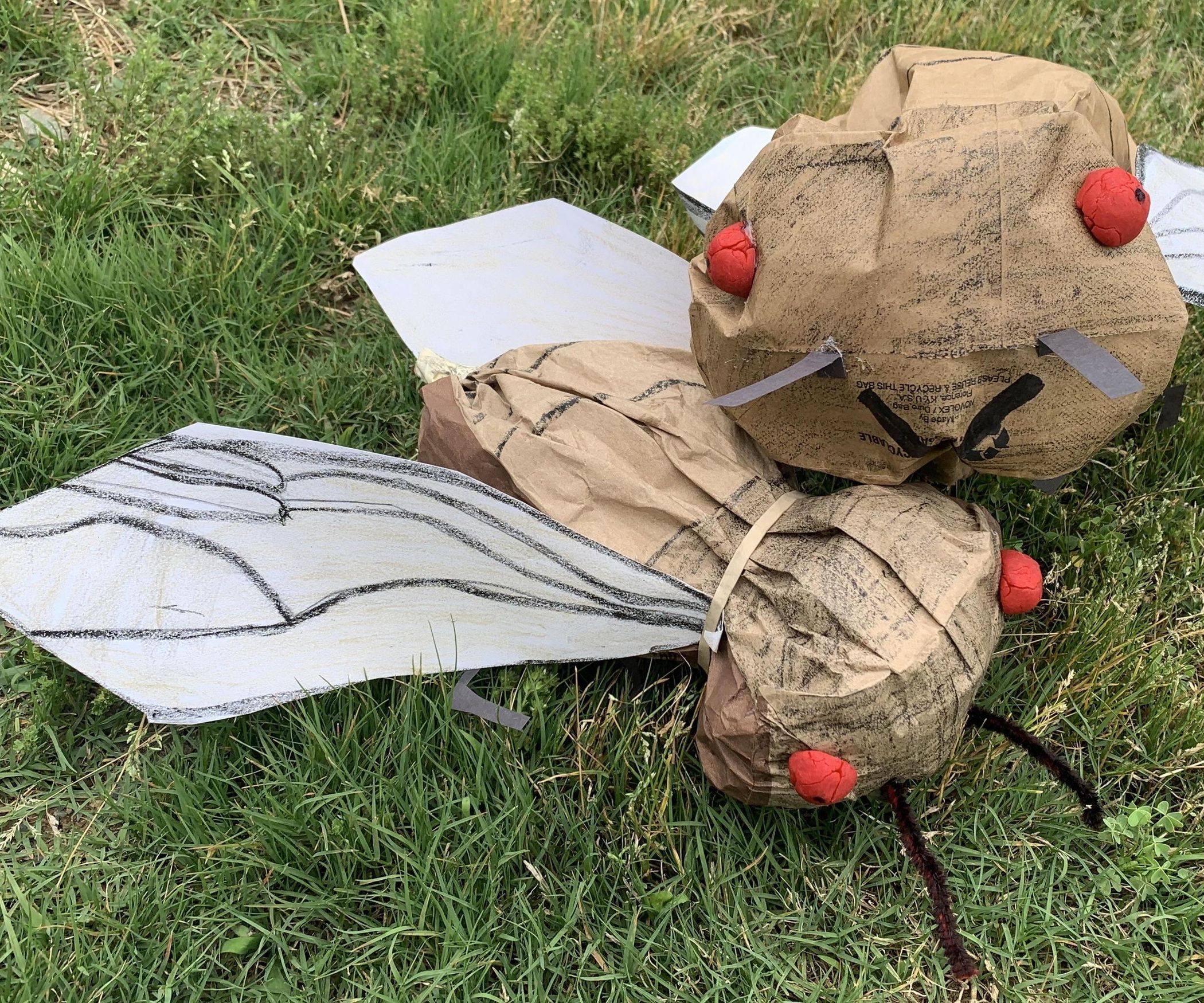 Giant Cicada Sculpture Using a Paper Lunch Bag : 7 Steps (with Pictures ...