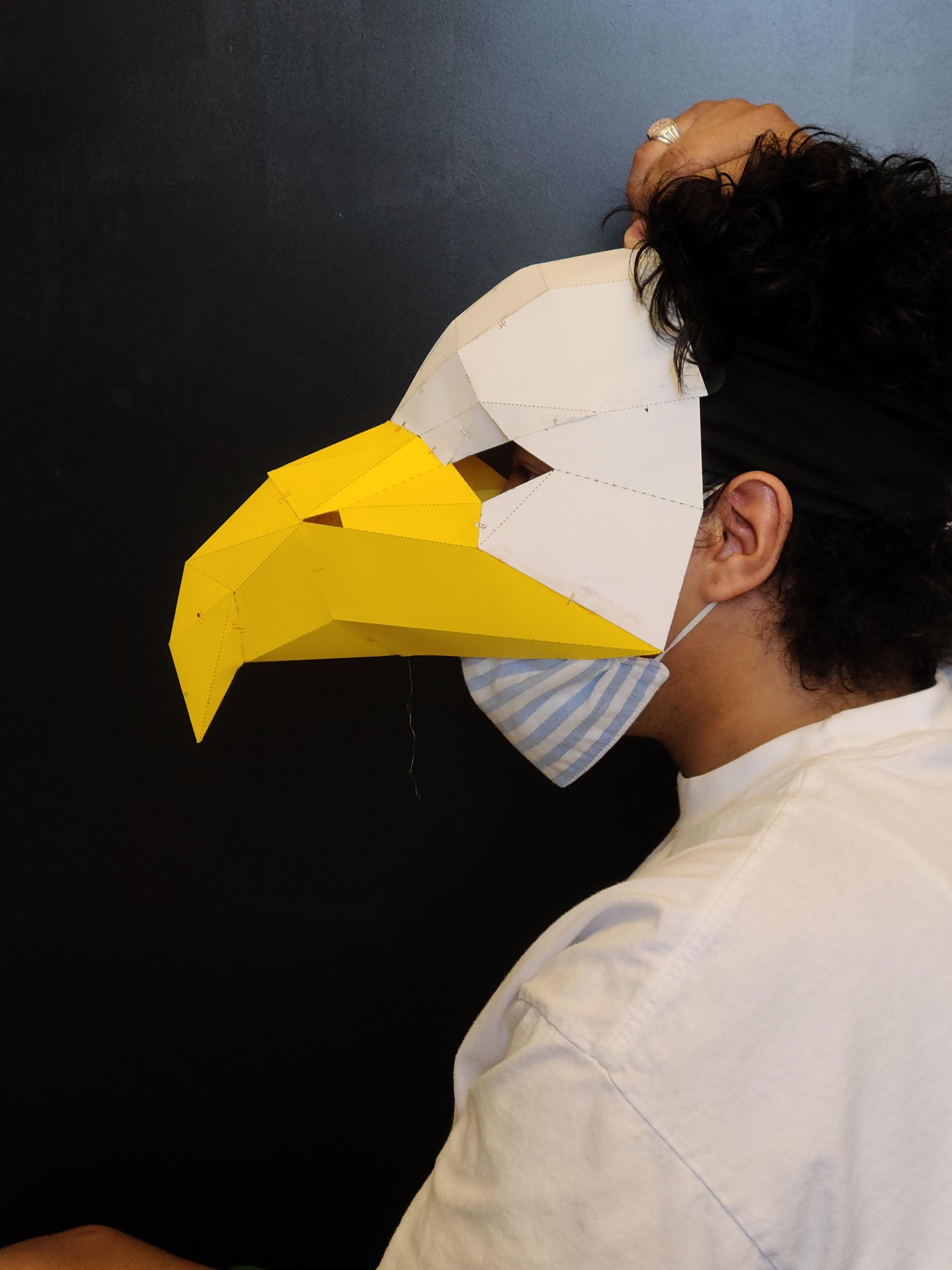 Sense Direction Like a Bird: Sensory Extension Mask : 8 Steps (with ...
