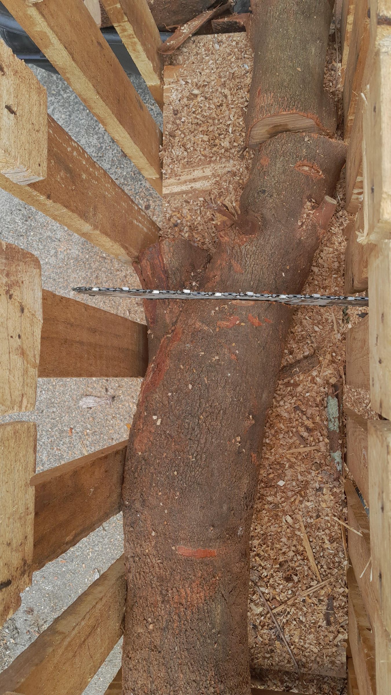 DIY Pallet and Chainsaw Mulching Rack - for Easy Vegetation Shredding ...