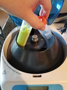 Imagine Whirled Peas (Pea Sorbet Using a Centrifuge) : 8 Steps (with ...
