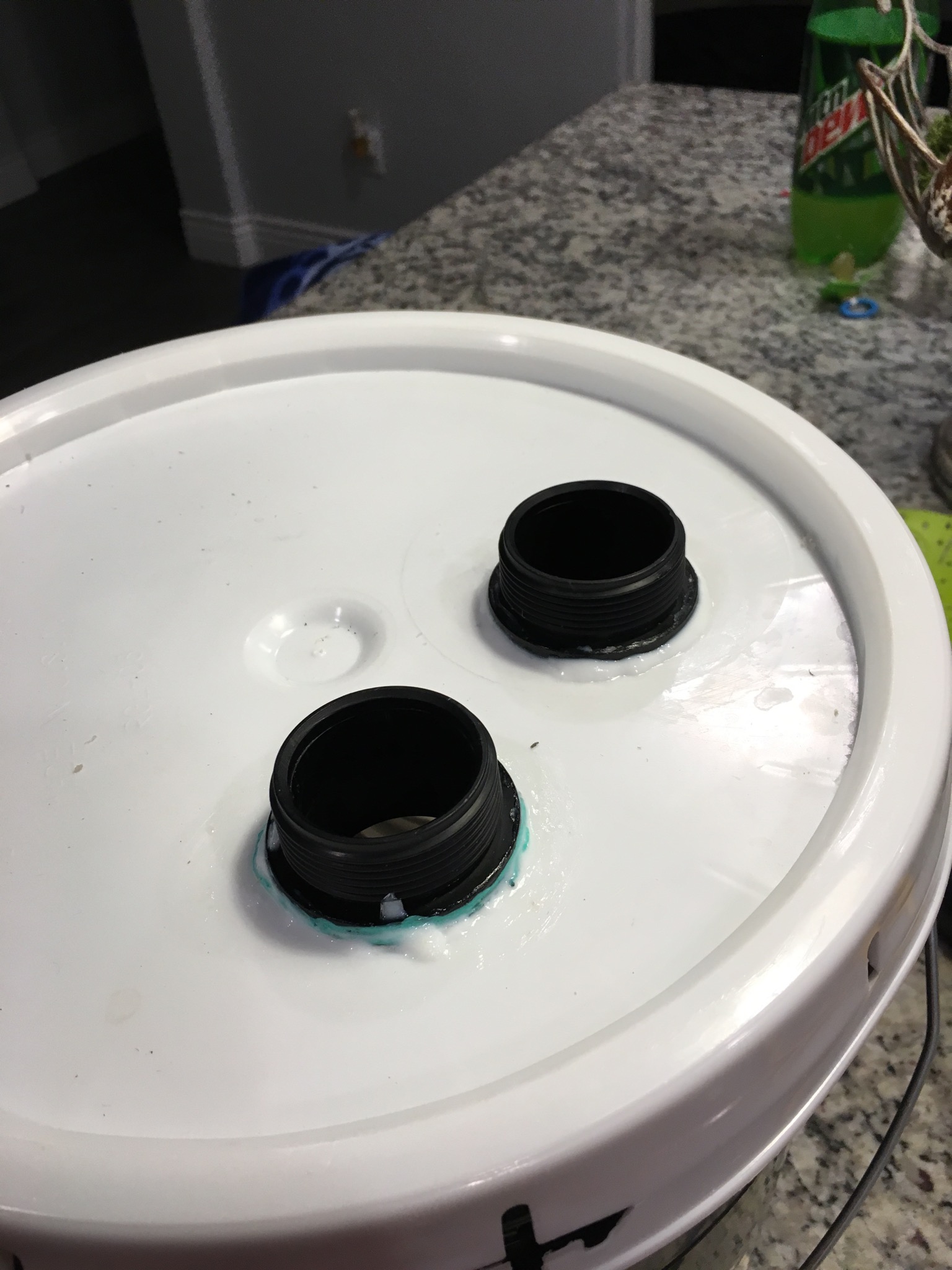 Plaster Trap : 4 Steps - Instructables