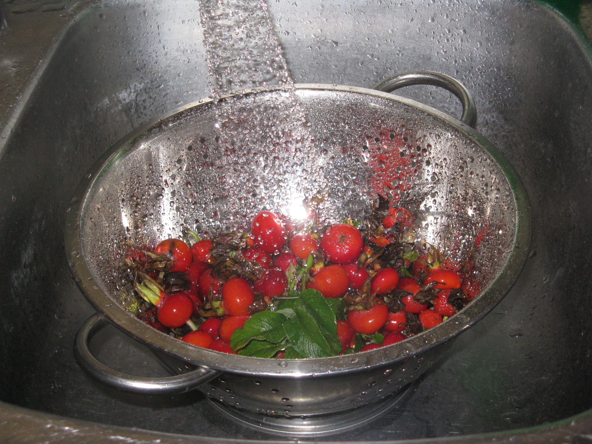Sugar Free Rose Hip Jelly : 10 Steps (with Pictures) - Instructables