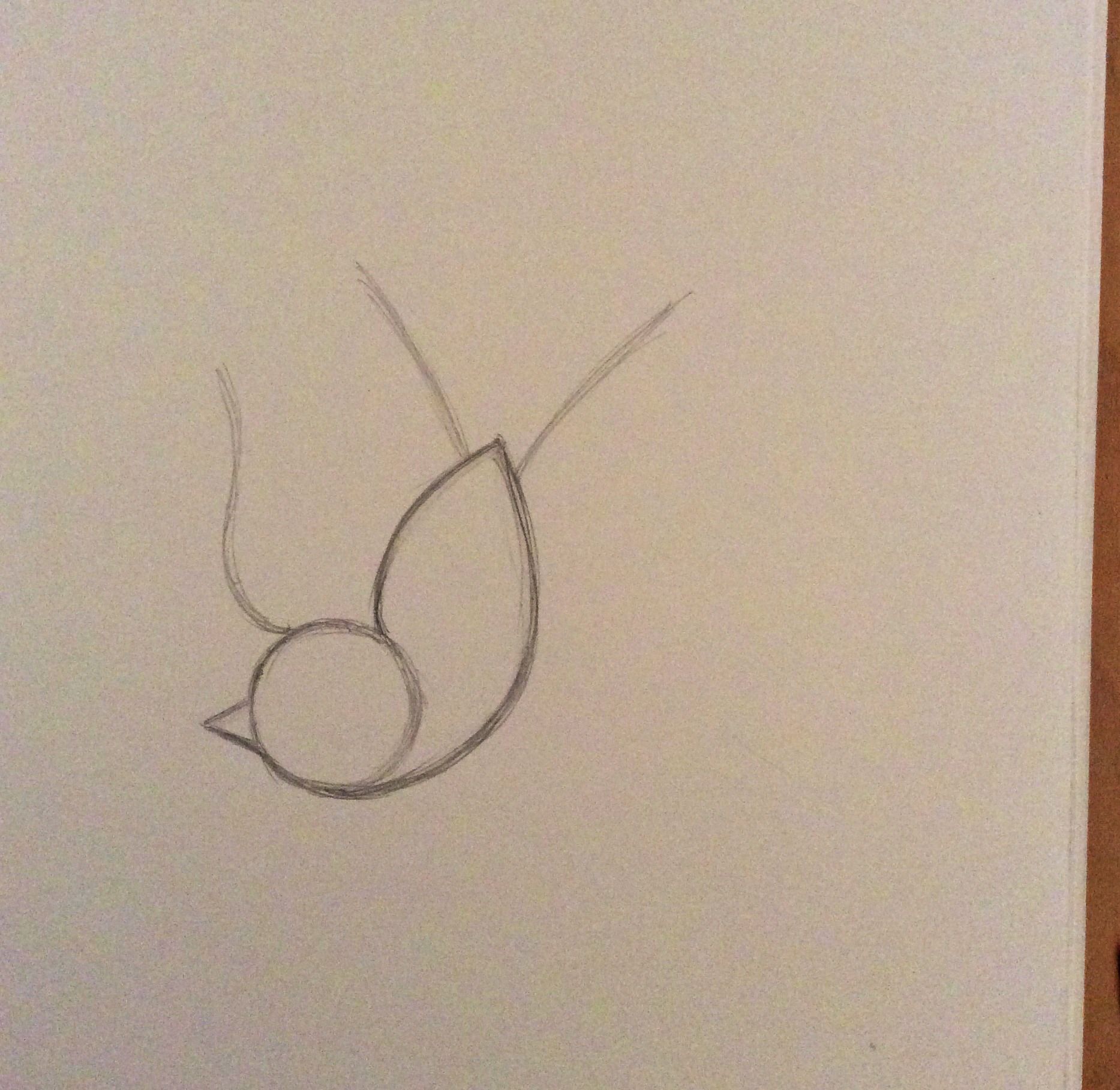 How to Draw a Swallow : 10 Steps (with Pictures) - Instructables