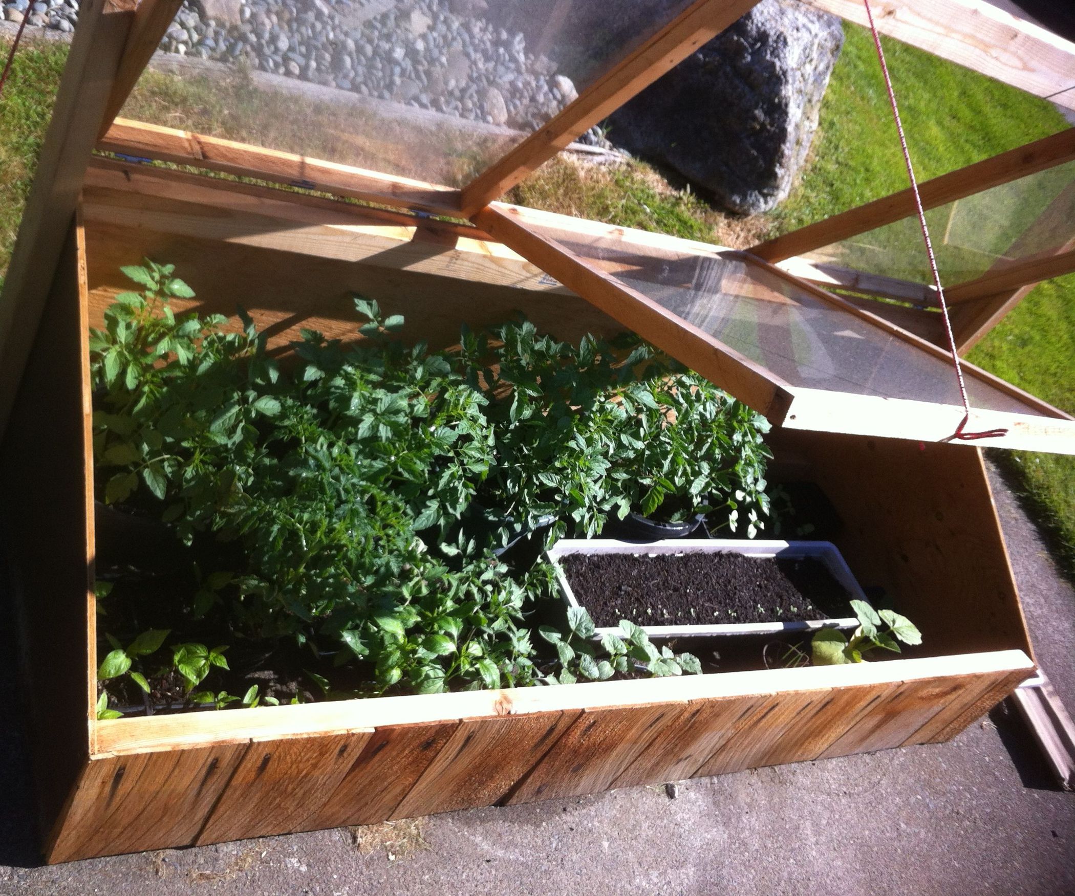 Cold Frame : 5 Steps (with Pictures) - Instructables