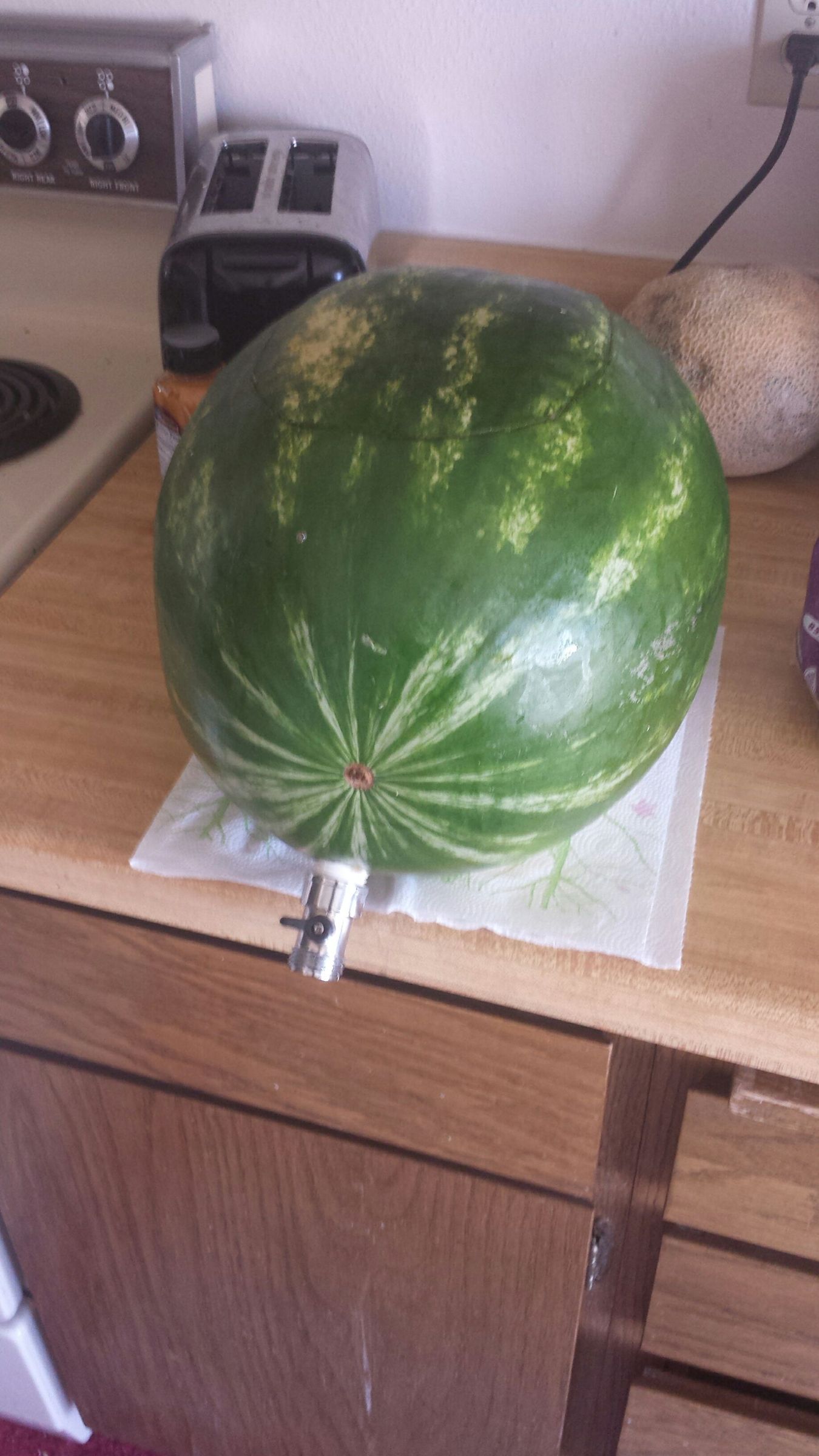 Watermelon Drink Dispenser/Keg : 7 Steps (with Pictures) - Instructables