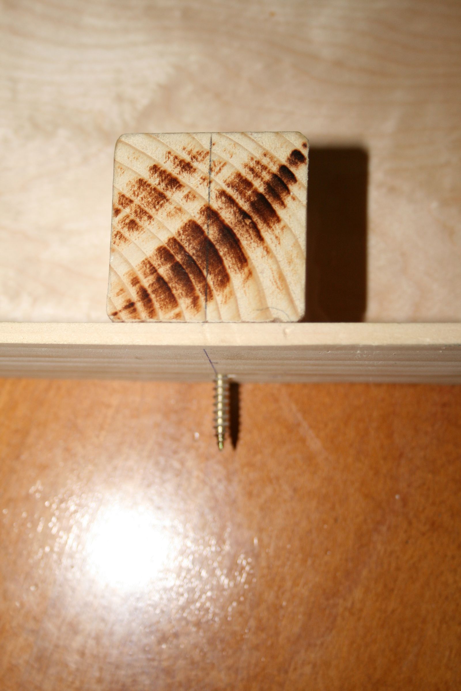 Building an Ukulele From Scratch : 15 Steps - Instructables