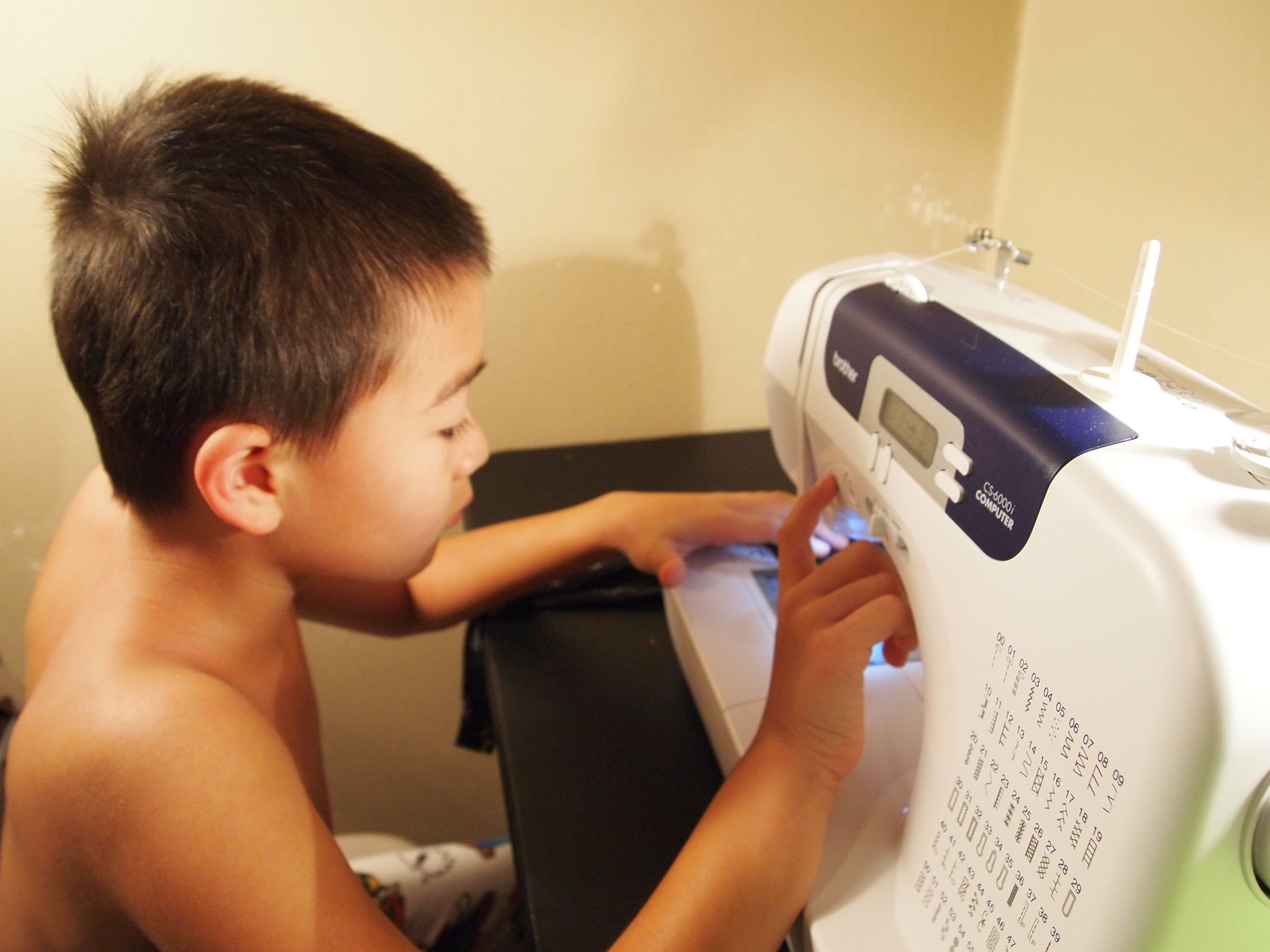 Catnip Pillows : 3 Steps (with Pictures) - Instructables