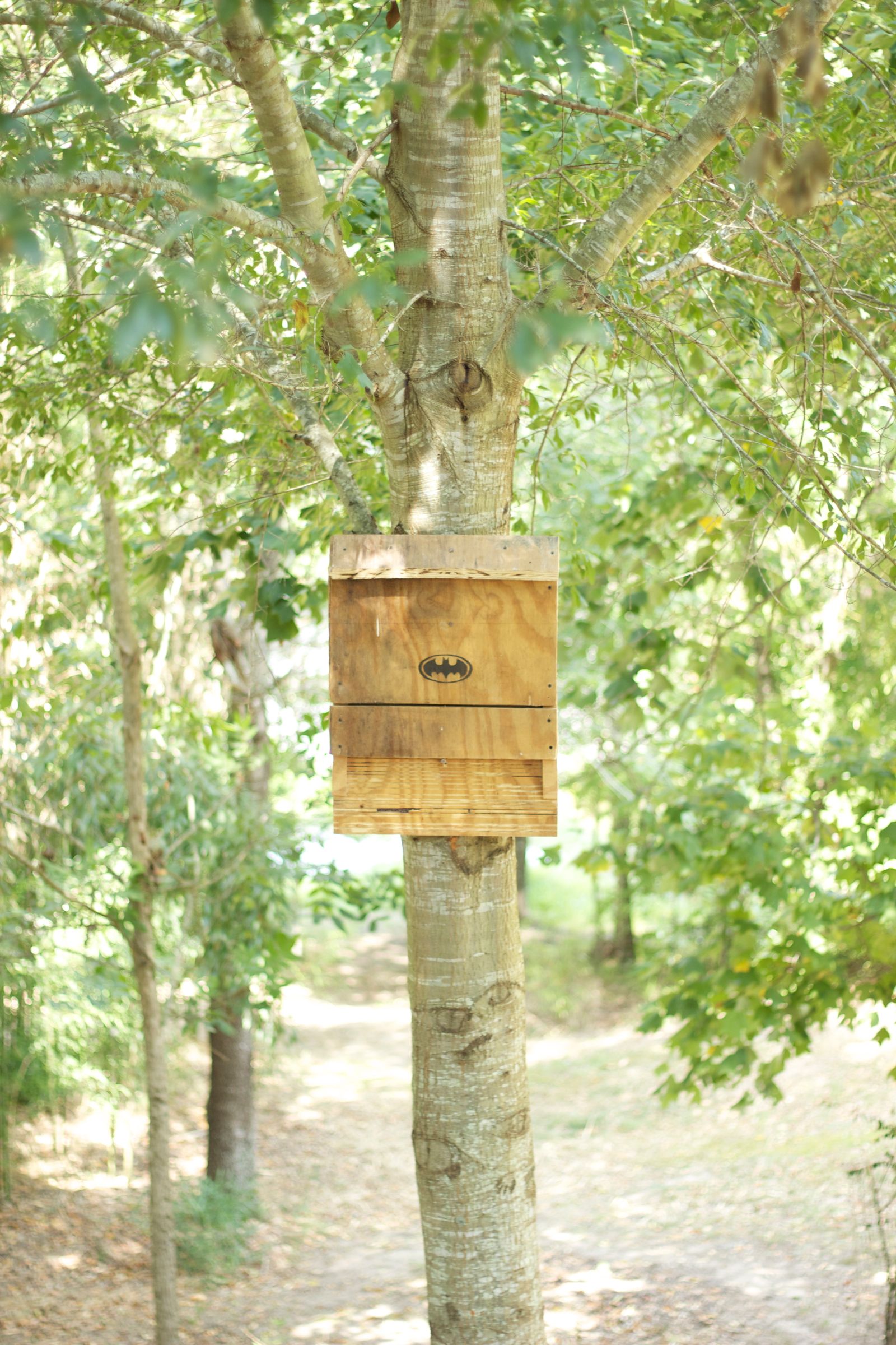 The Bat House: a Green, Energy Efficient Insect Repellant : 7 Steps ...