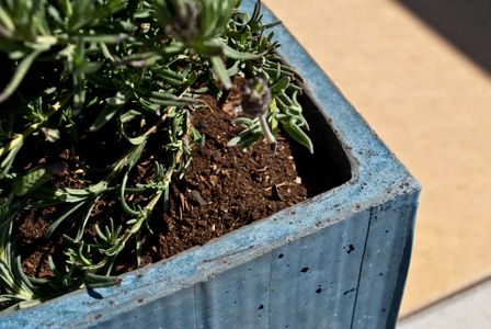 DIY CONCRETE:: Planter Box : 4 Steps (with Pictures) - Instructables