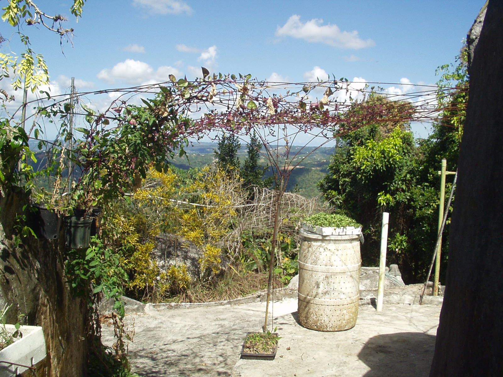 A REBAR TRELLIS - for Home and Garden : 9 Steps - Instructables