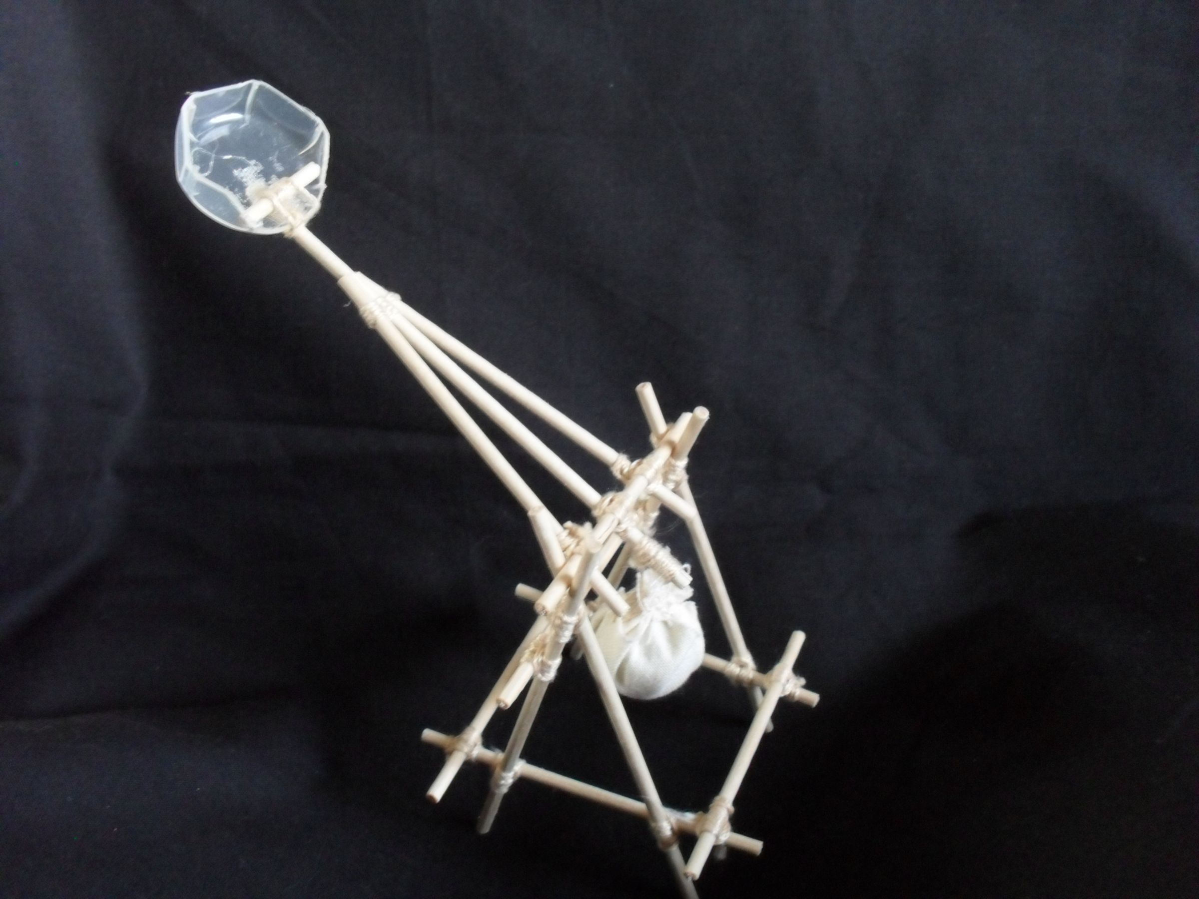 Scout Project: How to Build a Trebuchet : 12 Steps (with Pictures ...