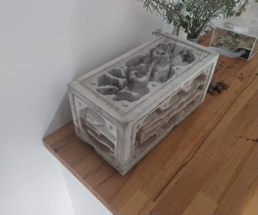 Concrete Ants Nest : 4 Steps (with Pictures) - Instructables