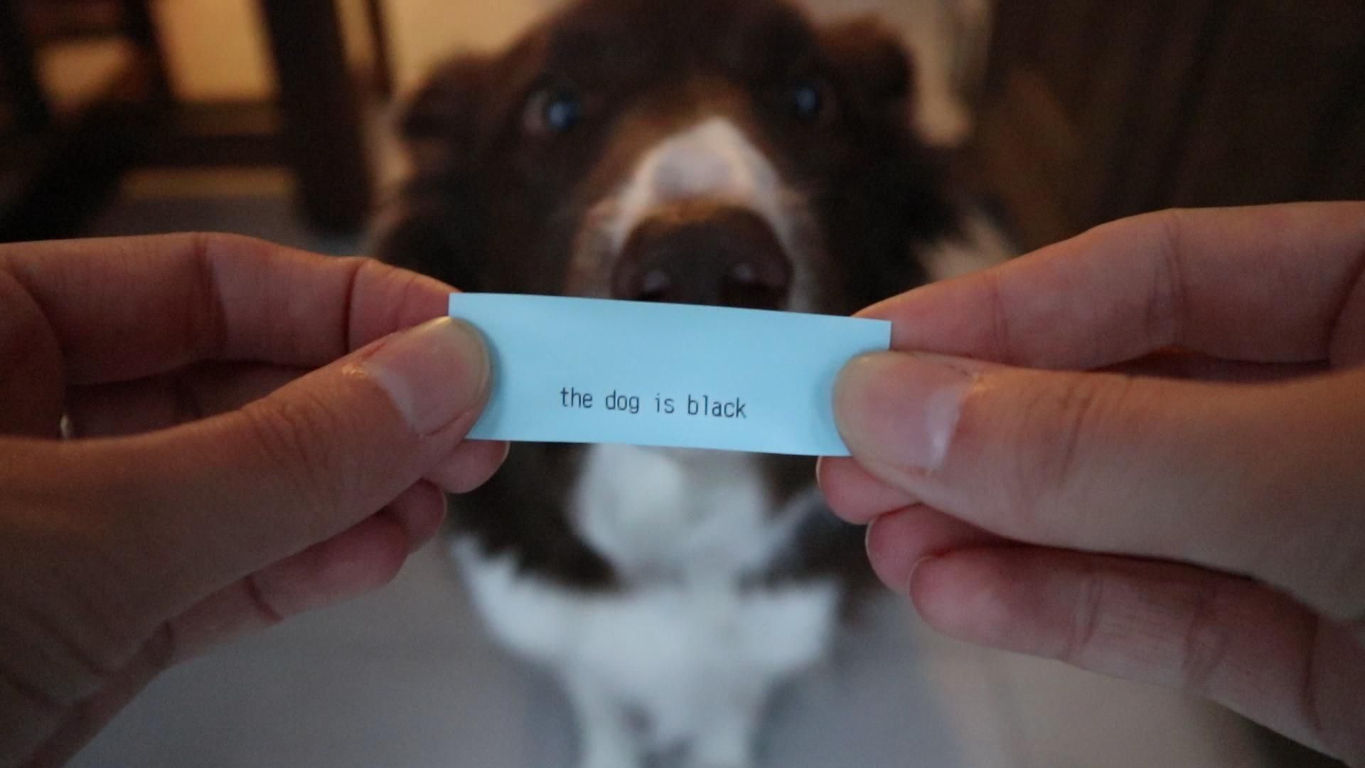 The AI Label Maker : 5 Steps (with Pictures) - Instructables