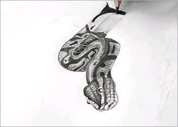 3D Drawings : How to Make 3d Snake Step by Step : 4 Steps - Instructables
