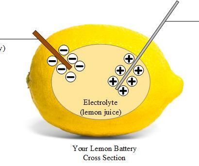 Let's Make a Lemon Battery : 5 Steps - Instructables