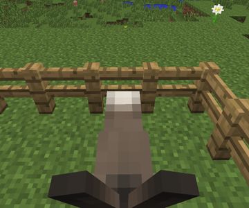 Minecraft Animals : 13 Steps (with Pictures) - Instructables