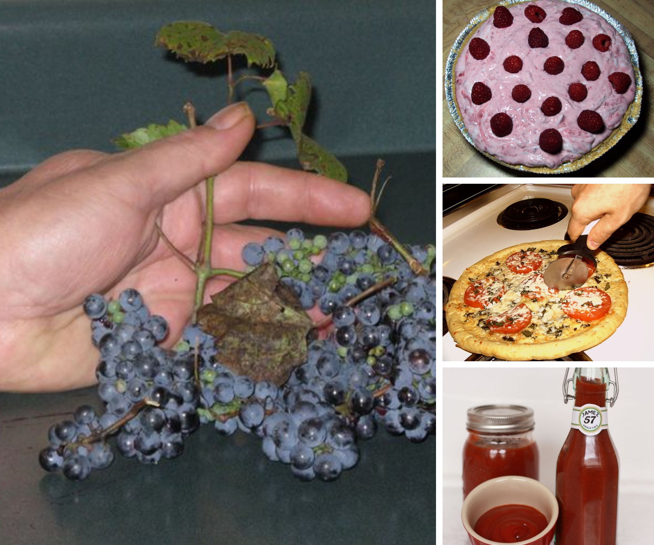 Cooking - Instructables